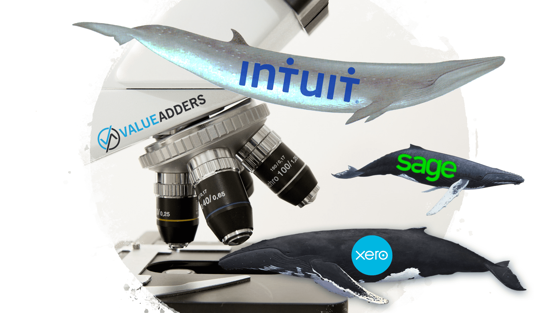 3 Accounting Tech Whales under the investor's microscope - Value Adders